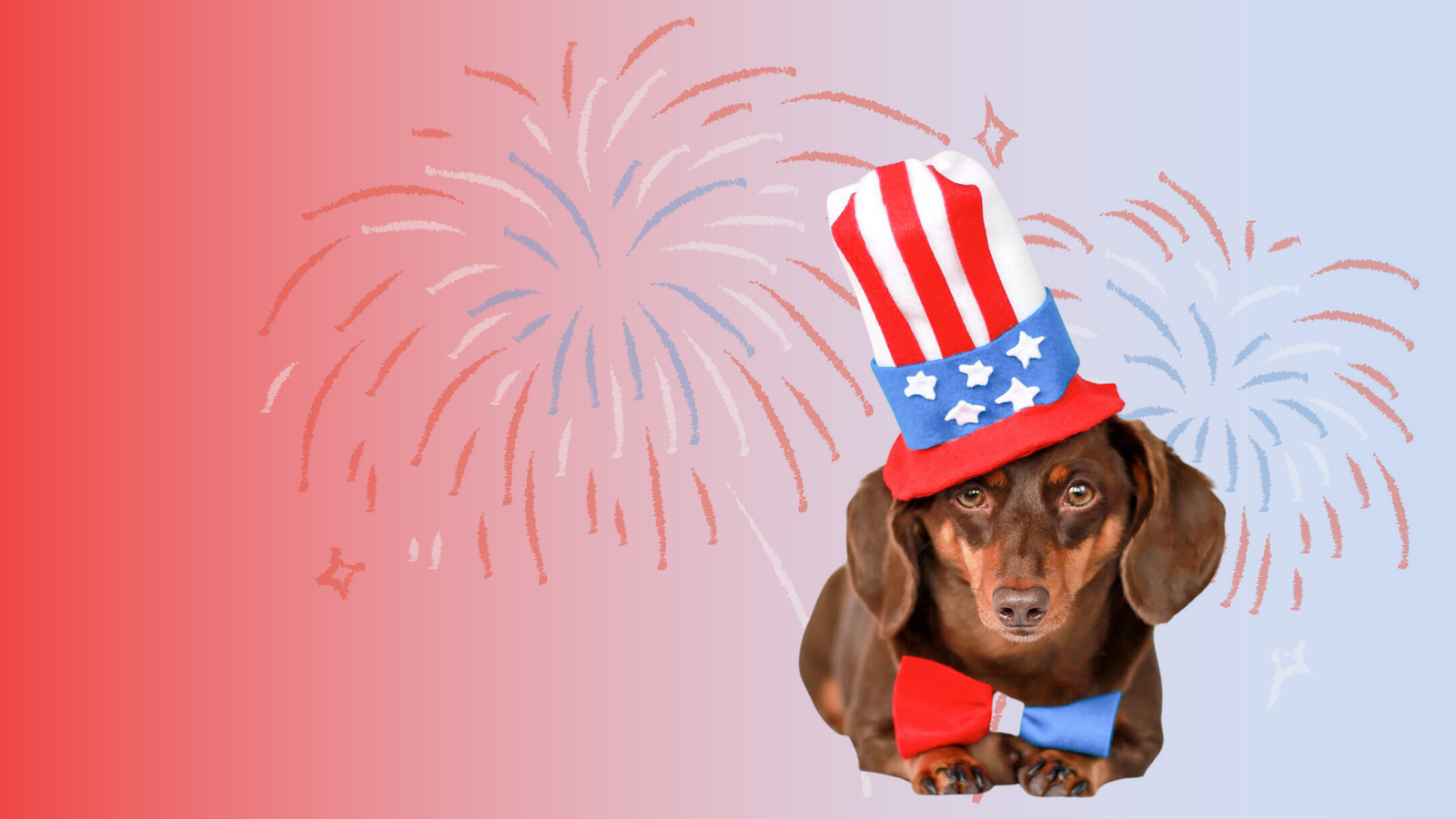 PetScript | Veterinary Compounding Pharmacy – PetScript Pharmacy